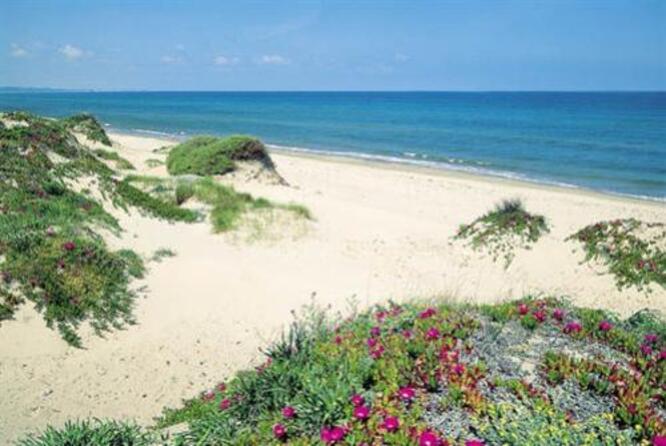 Spiagge - Spiaggia Marina di Sorso - L'Unione Sarda.it